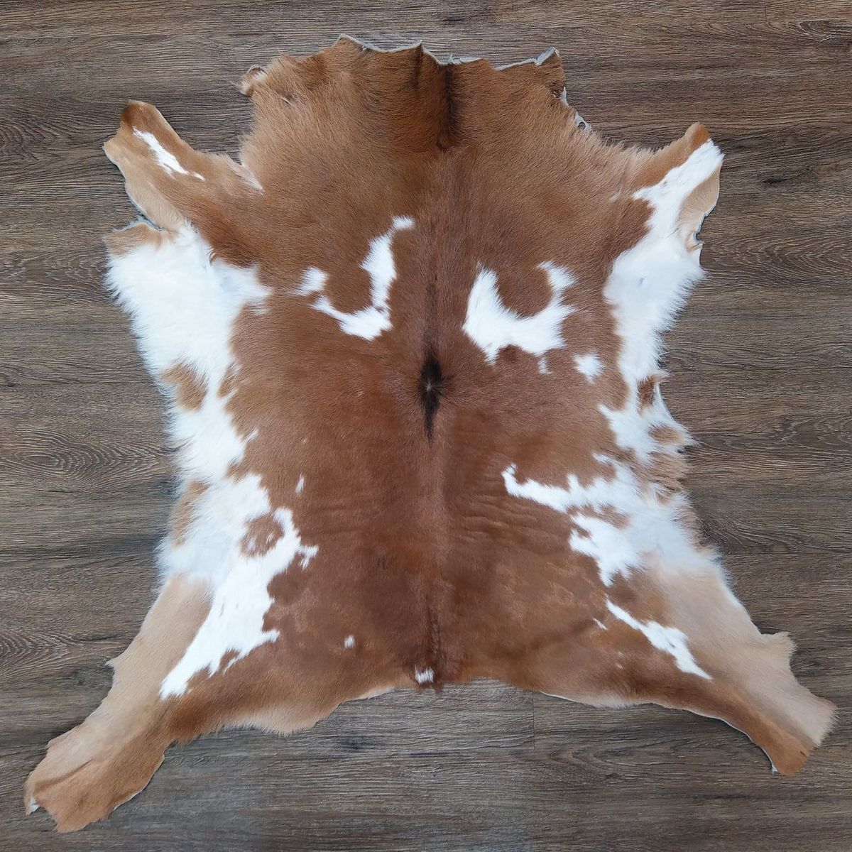 Hair on Calf Leather | Hide & Leather House