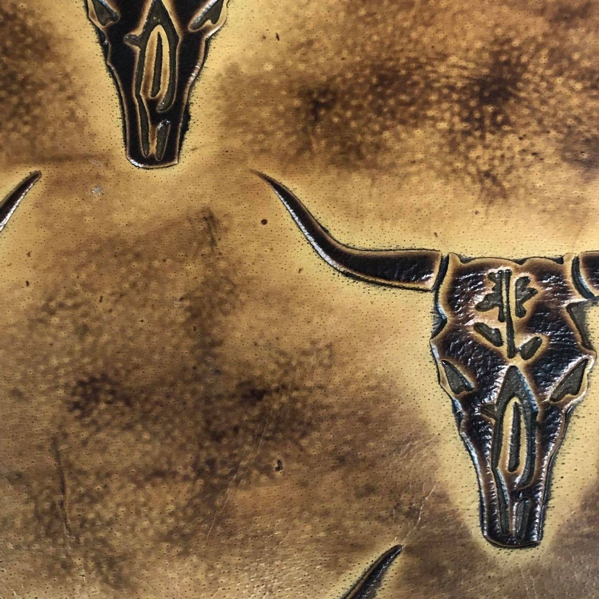 Longhorn Embossed Cow Leather | Hide & Leather House