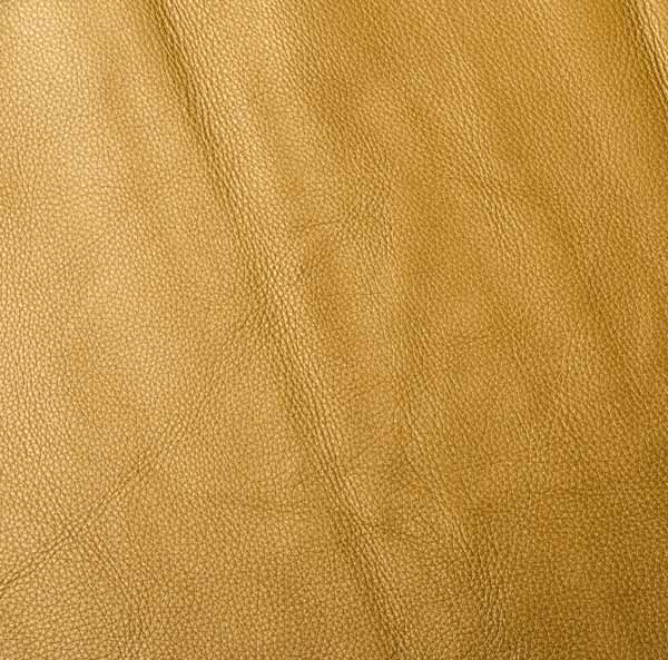 Dove Leather | Hide & Leather House