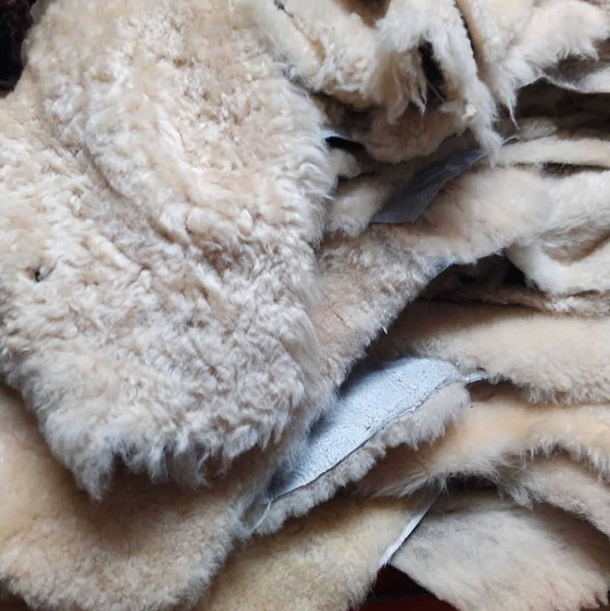 Cream Shearling Leather | Hide & Leather House